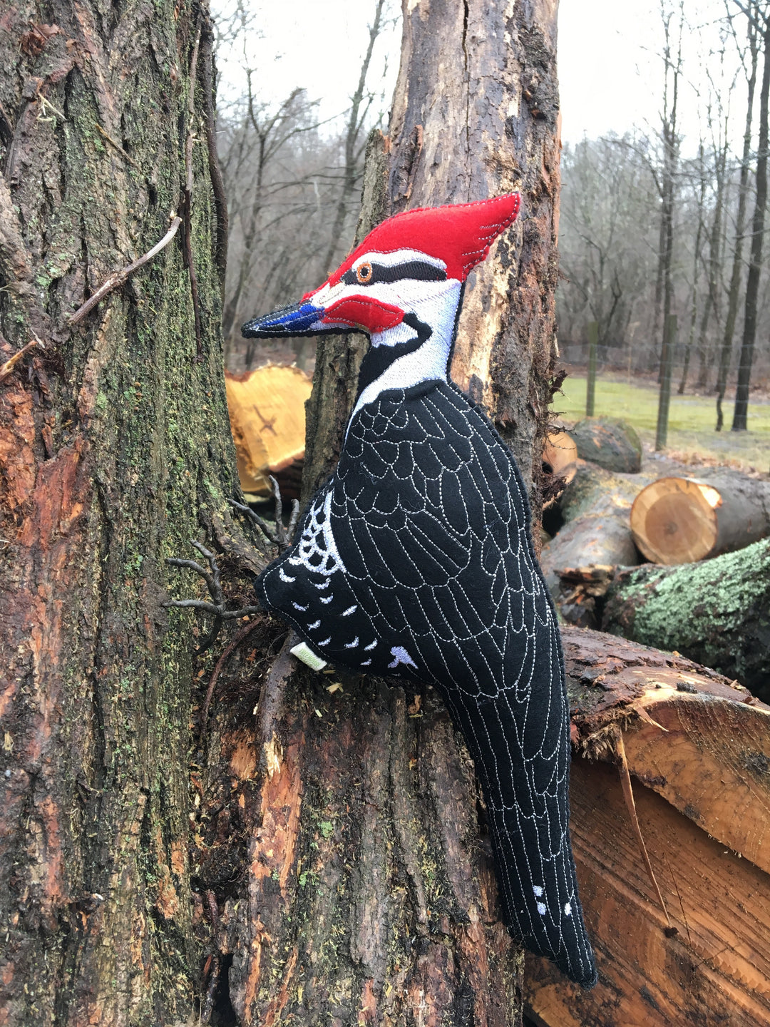 Felt Pileated Woodpecker – Treehouse Crafts LLC